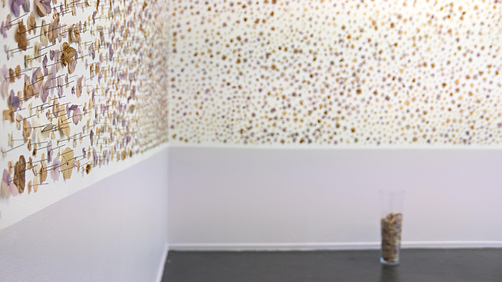 Heidi Holmes | Root Division