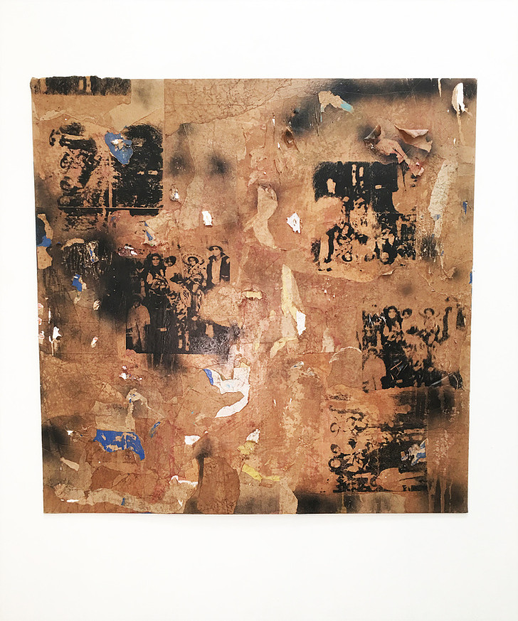 Alice Combs - Root Division