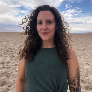 Studio Artists - Root Division