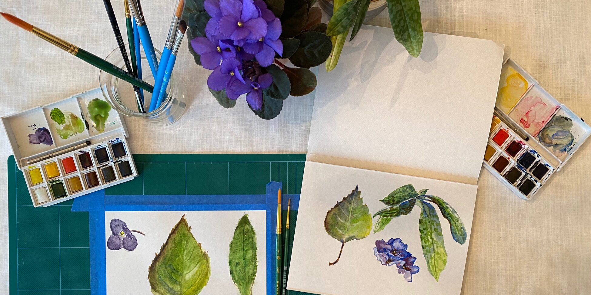 Home - Root Division