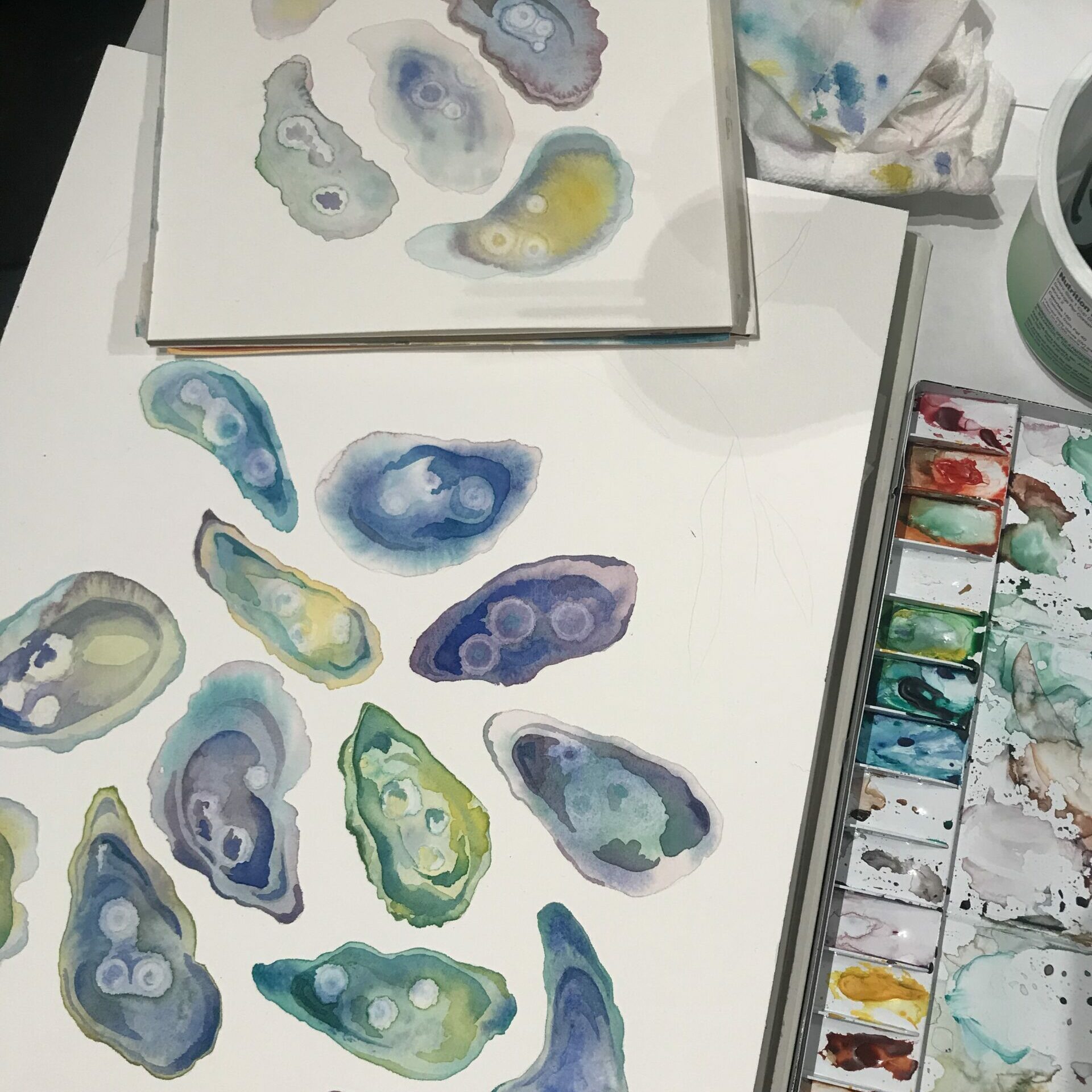 Water Based Media B - Virtual - Root Division