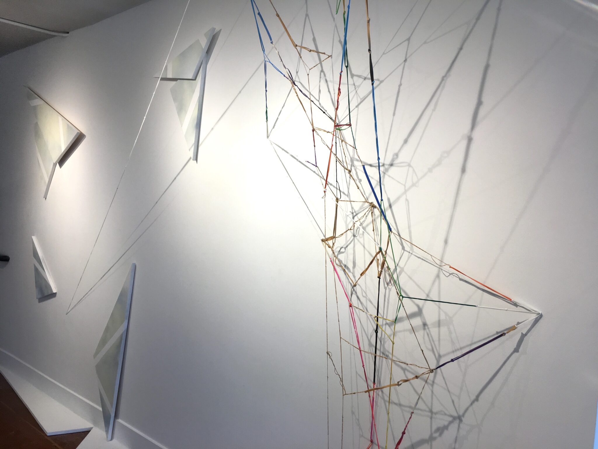 Eva Enriquez: Bending Color in Space - Root Division