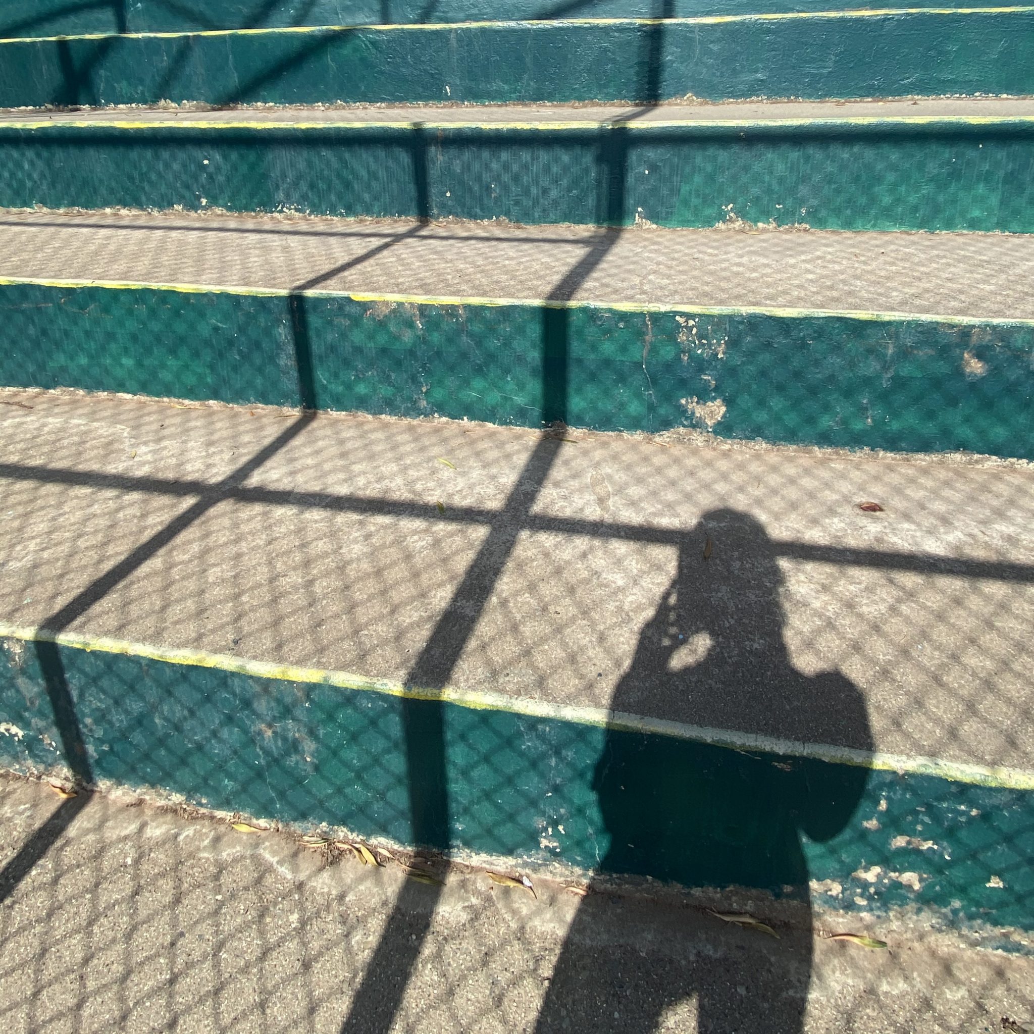 Rachel Dean: Spaces of Gratitude - Root Division