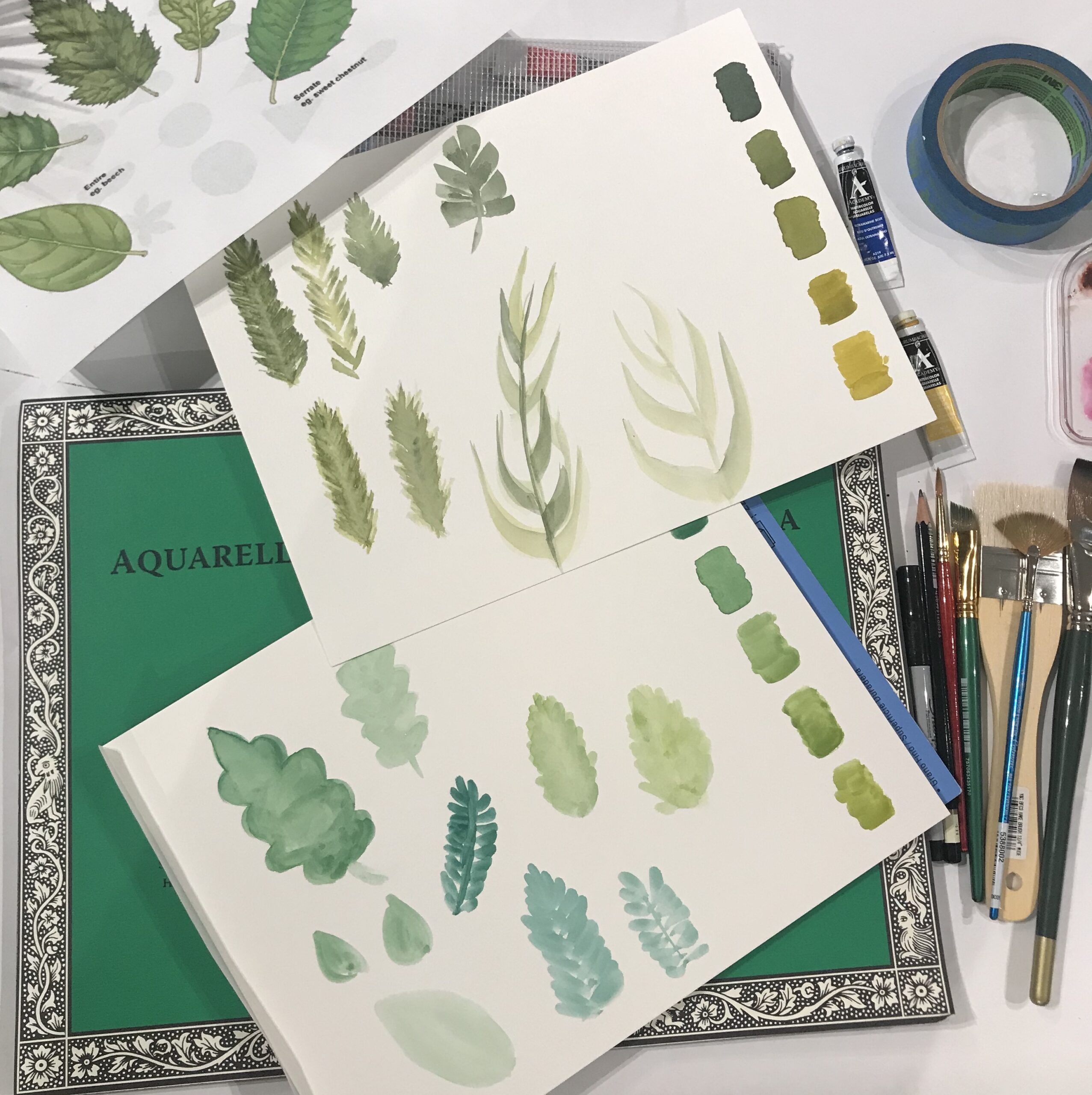 Water Based Media A - Virtual - Root Division