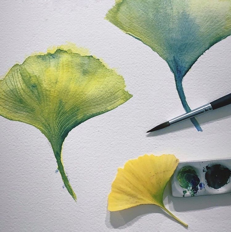 Water Based Media C - Virtual - Root Division