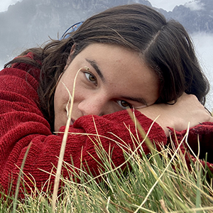 Artists - Root Division